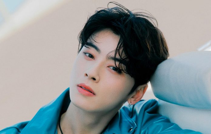 Cha Eunwoo Dipastikan Bermain di Drama "Wonderful World" - Vibrance